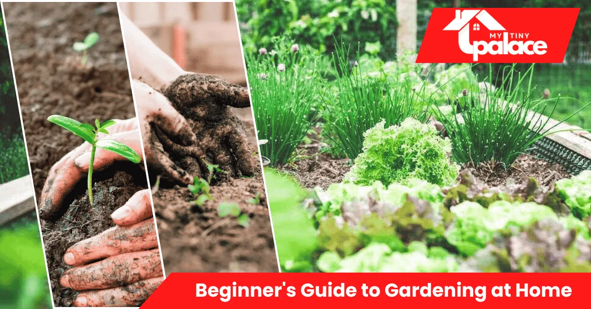 Beginner's Guide to Gardening at Home — Start Today - MyTinyPalace